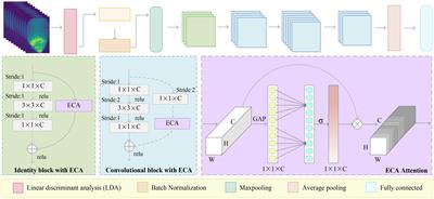 Frontiers | Efficient residual network using hyperspectral images for corn variety identification
